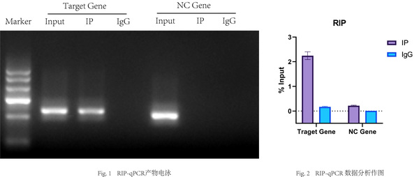 RIP - 合创（广州）生物科技有限公司