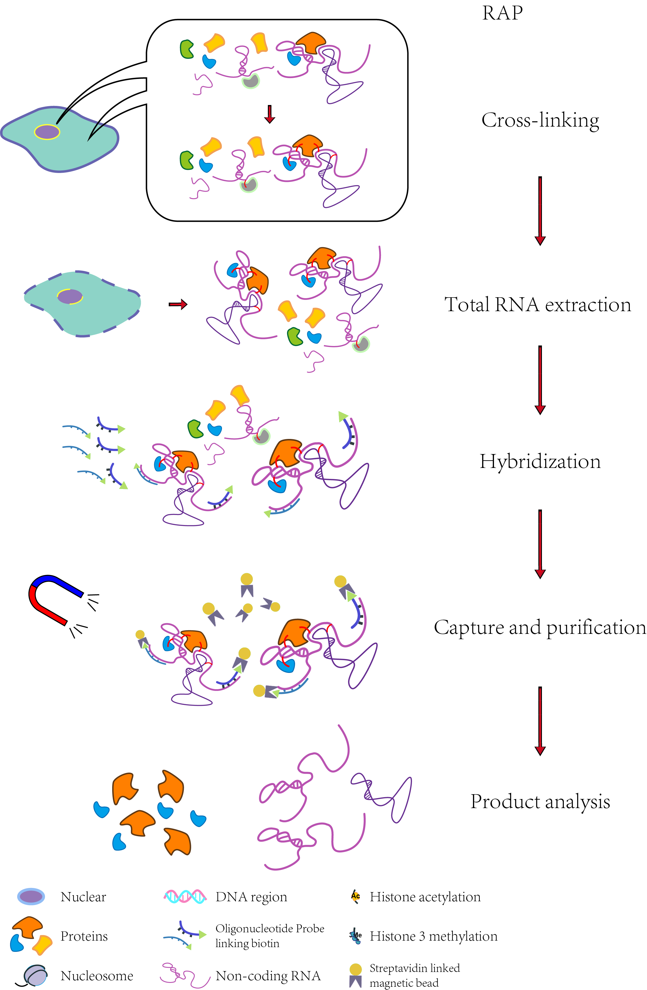合创（广州）生物科技有限公司